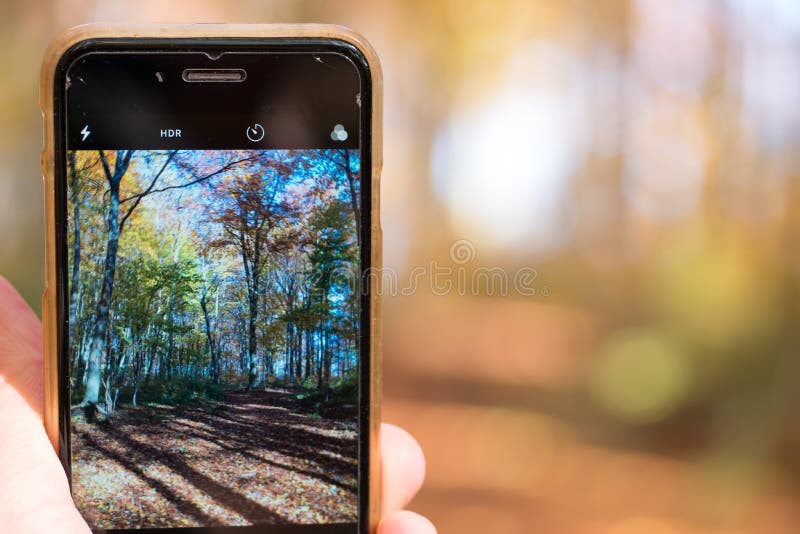 Detail on Mobile Photographing Autumn Nature Stock Photo - Image of ...