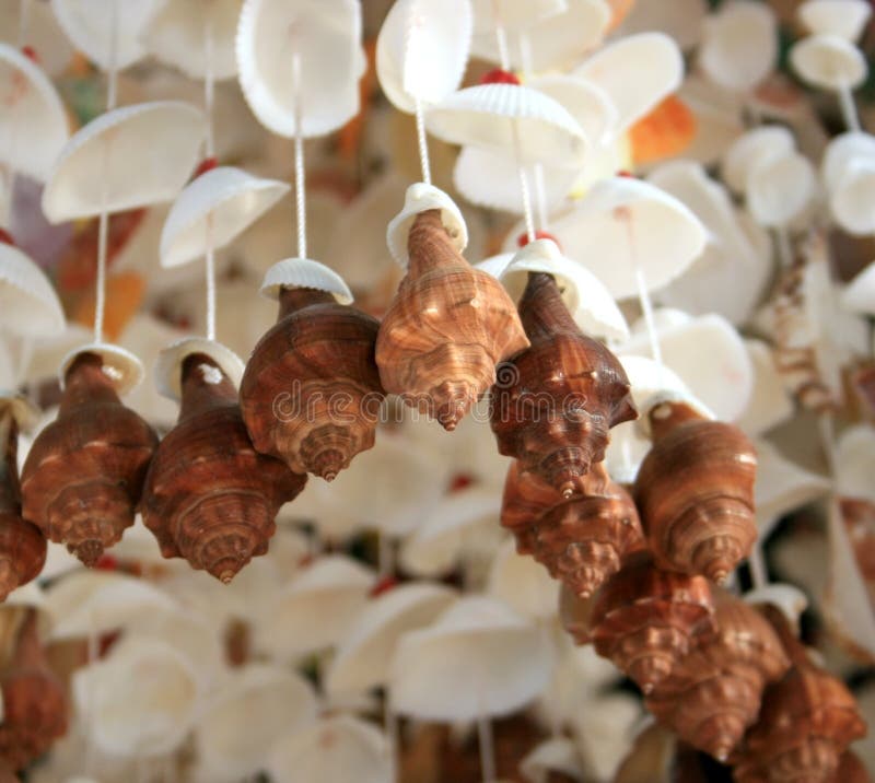 Mobile made from shells stock photo. Image of animal - 38186738