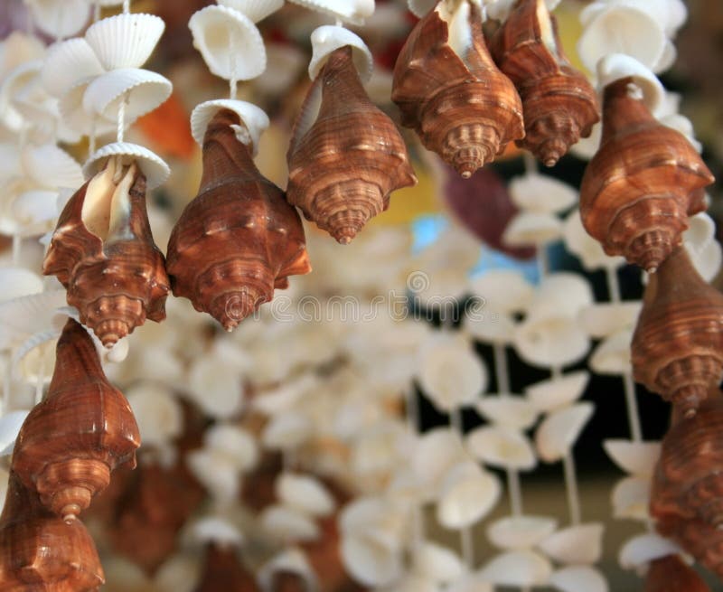 Mobile made from shells stock image. Image of hang, decorate - 38186819
