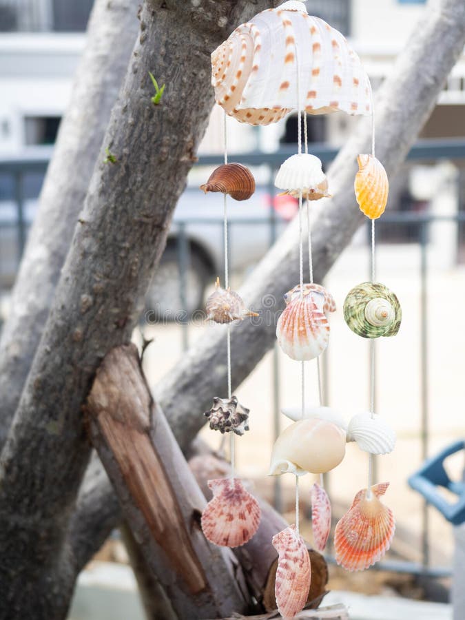 Shells Decoration Hanging from the Tree. Stock Image - Image of bokeh ...