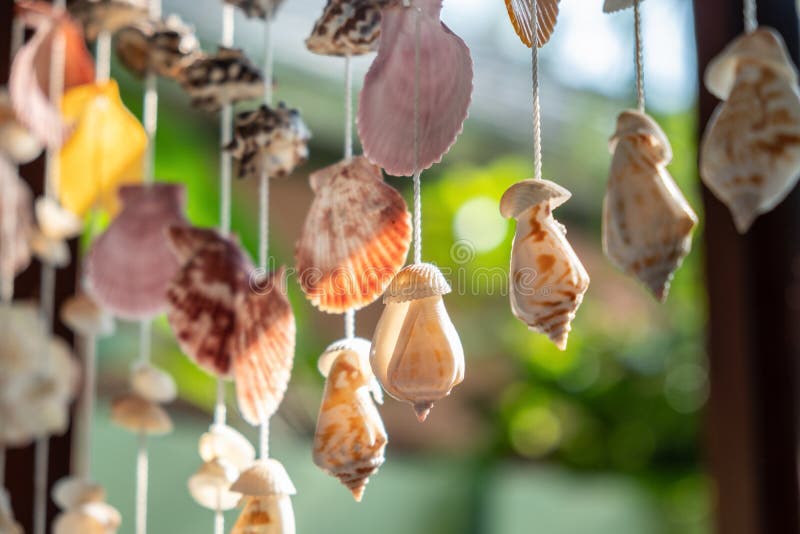 Mobile Made From Shells Hanging Stock Photo - Image of beauty, decorate ...