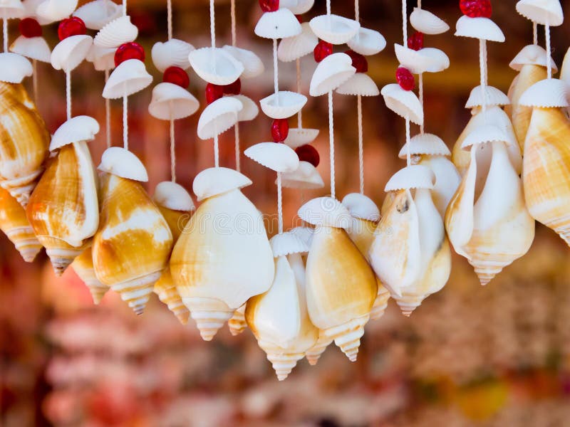 Mobile Made from Variety Shells Stock Image - Image of shell, sculptur ...