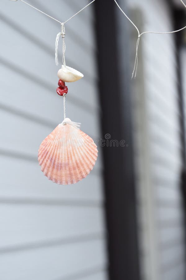 Mobile Made from Various Shells Stock Image - Image of natural ...