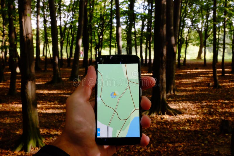 Mobile navigation in park stock image. Image of forest - 60665851
