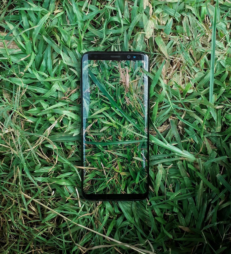 Mobile Phone Camouflaged on Grass Stock Image - Image of grass ...