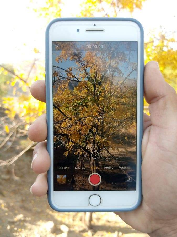 Mobile Phone in a Human Hand Male Stock Image - Image of hand, mobile ...