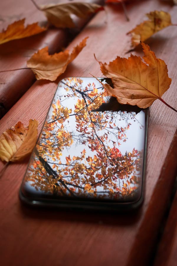 Mary Wandler (Alaskajade) - Photographer profile