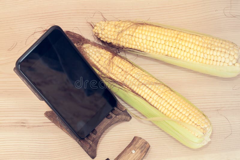 Mobile Phone on a Stand and Two Corn Stock Image - Image of design ...