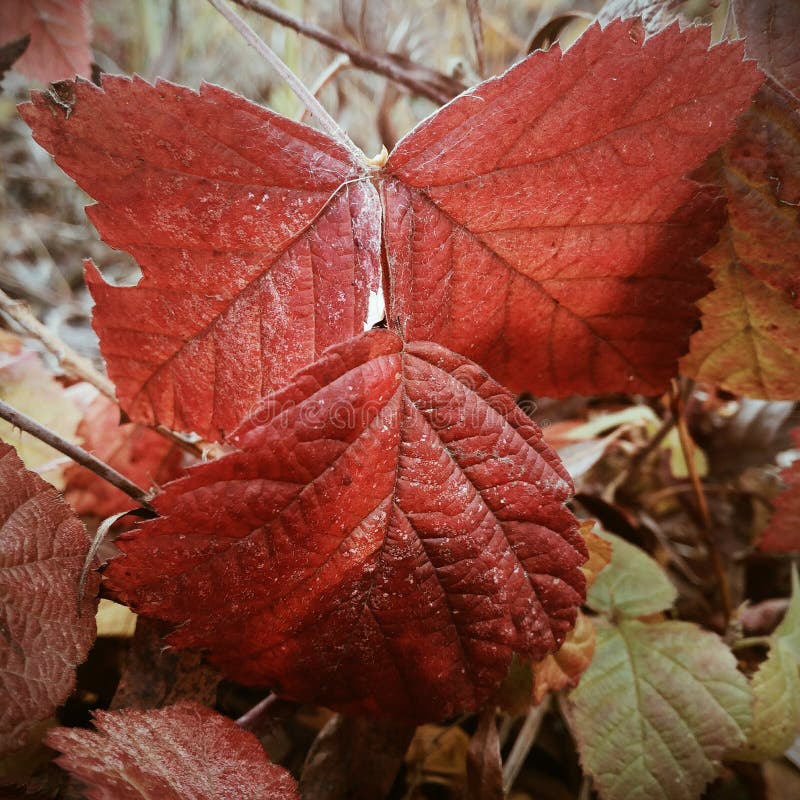 Treated Vsco Stock Photos - Free & Royalty-Free Stock Photos from ...