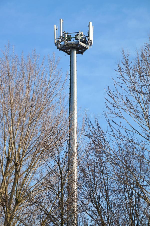 Mobile Pole Behind Tree with Blue Sky Back Ground ,technology Can ...