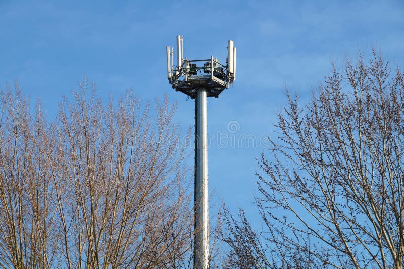 Mobile Pole Behind Tree with Blue Sky Back Ground ,technology Can ...