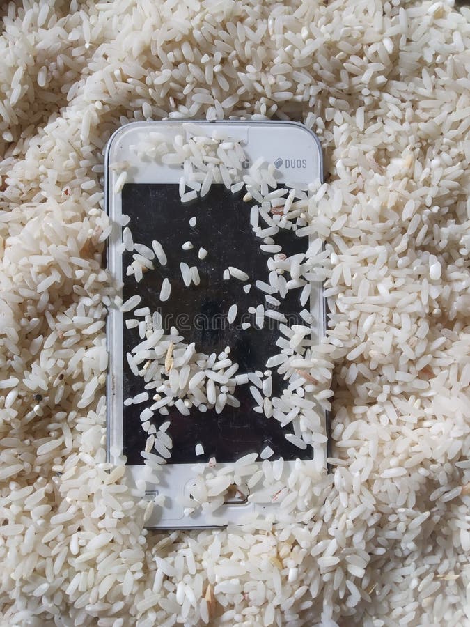 2,305 Mobile Rice Stock Photos - Free & Royalty-Free Stock Photos from ...