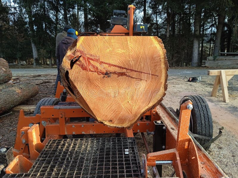 Mobile Sawmill in the Wood Industry Stock Photo - Image of forestry ...