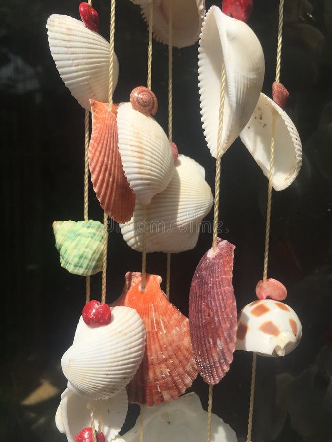 Mobile Seashells ,Mobile Shells Stock Image - Image of seashell ...