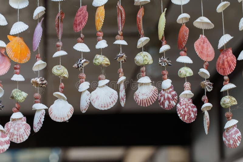 Mobile Shell stock image. Image of ntural, color, natural - 65335117