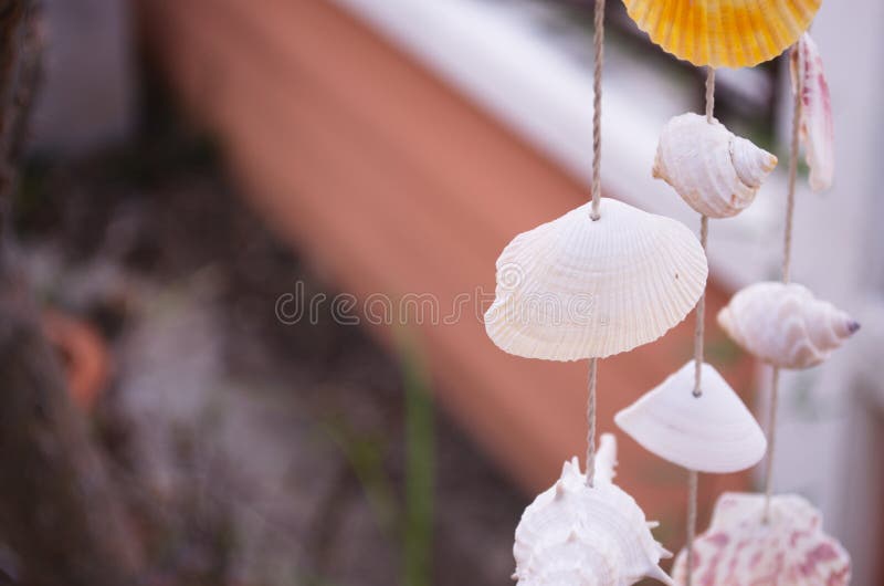Mobile Shell. stock photo. Image of beach, interior, decoration - 74578646