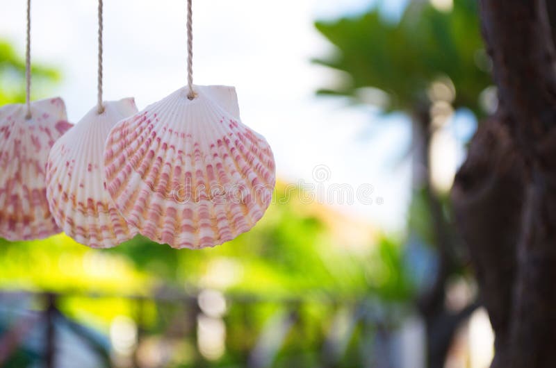 Mobile Shell. stock photo. Image of beach, color, decoration - 74578676