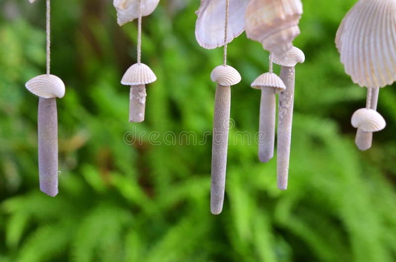 Mobile Shell stock image. Image of ntural, color, natural - 65335117