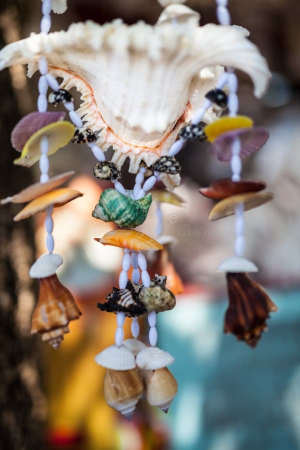 Mobile Shell stock image. Image of ntural, color, natural - 65335117