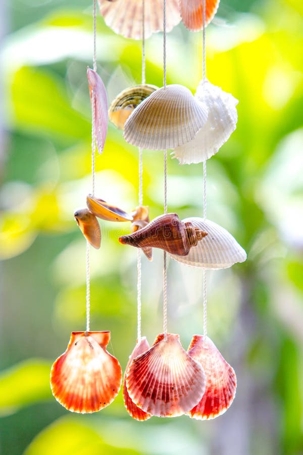 Mobile Shell stock image. Image of nature, finishing - 47790775