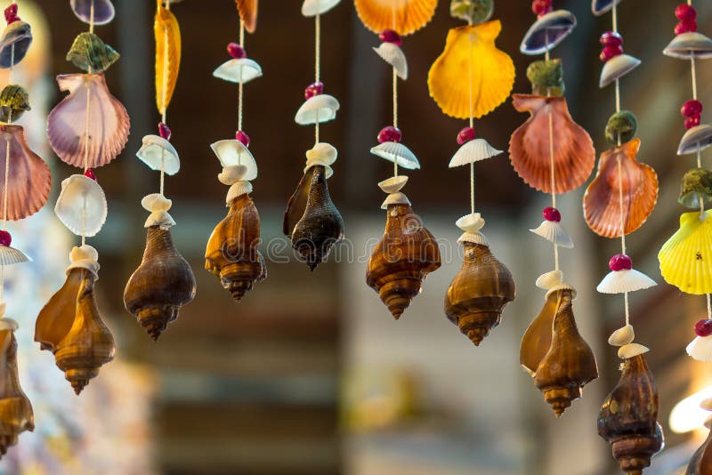 Mobile Shell stock photo. Image of seashore, natural - 89062610