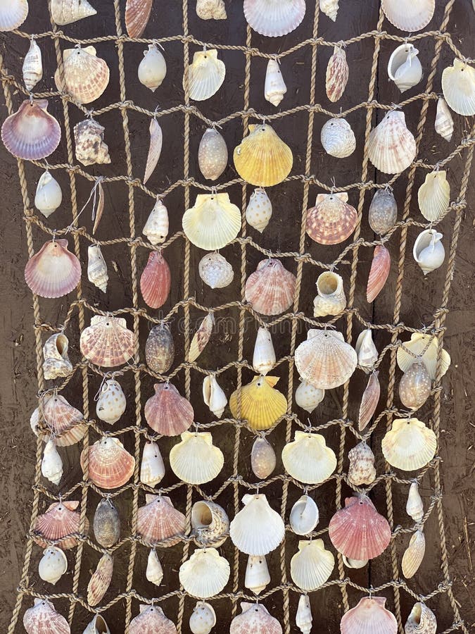 Mobile Shell Sky Background Stock Image - Image of decorate, beach ...