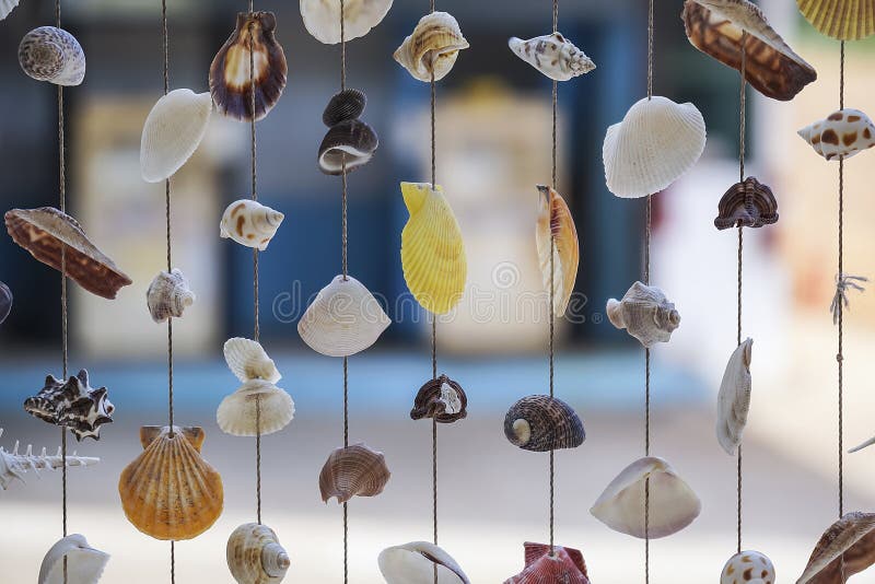 Mobile shell stock image. Image of natural, spiral, closeup - 76494027