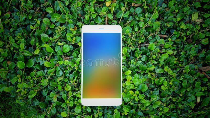 Green Grass Background, Nature Texture Stock Photo - Image of pitch ...