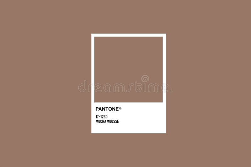 Mocha Mousse Color Background with a White Frame with Color Description ...