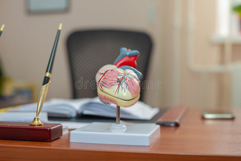 Mock Heart on the Doctor`s Desk Stock Photo - Image of concepts ...