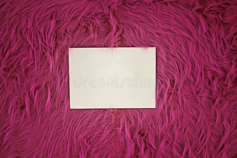 Mock Up. Blank White Rectangular Board, Billboard, Banner on Pink Faux ...
