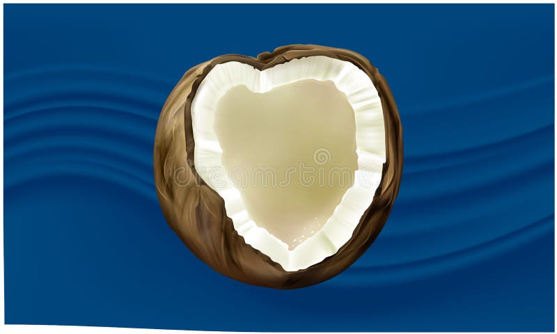 Mock Up Illustration of Coconut on Abstract Background Stock Vector ...