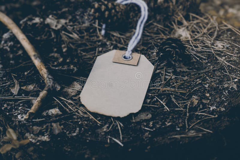 935 Forest Labels Stock Photos - Free & Royalty-Free Stock Photos from ...