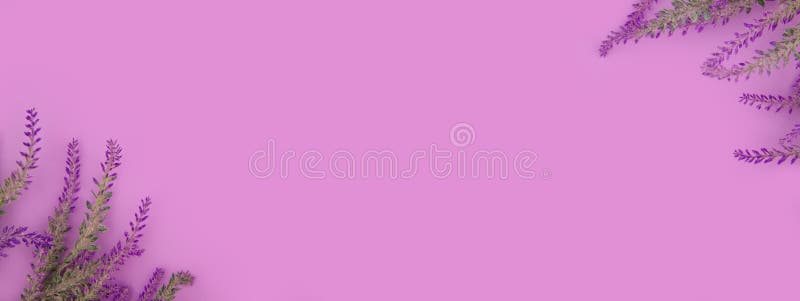 Mock-up Lavender Background with Copy Space Stock Image - Image of ...