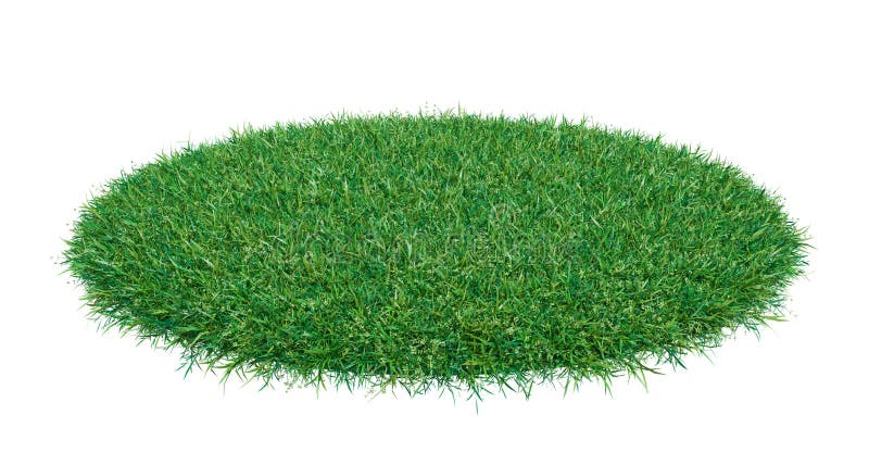 Mock-up Round Piece of Green Grass Stock Illustration - Illustration of ...
