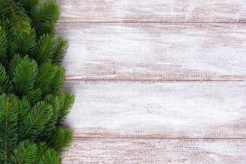 Mock Up of Spruce Branches with Space for Text Stock Image - Image of ...