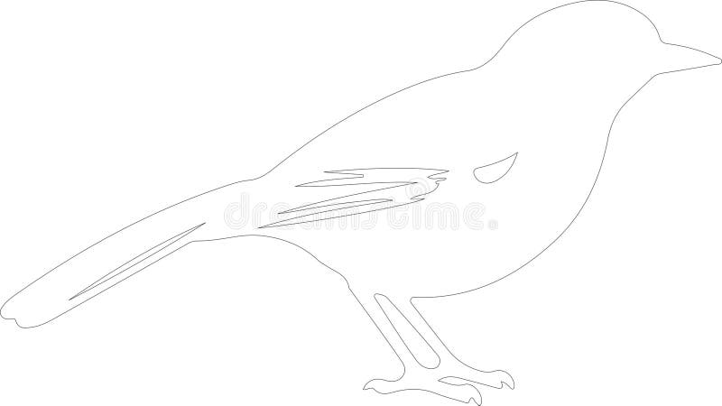 Mockingbird Stock Illustrations – 508 Mockingbird Stock Illustrations ...