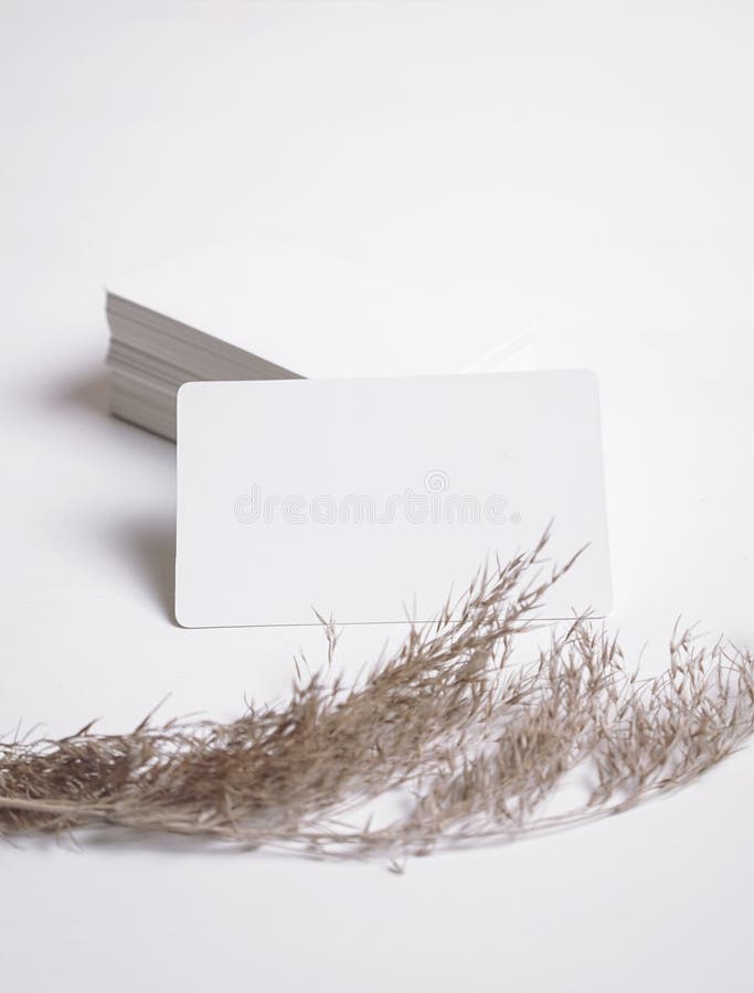 Mockup of Business Card with Spikes Background. Stock Image - Image of ...