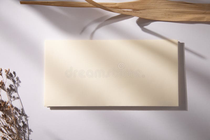 Mockup Cards with Leaf and Flower Stock Image - Image of blank, table ...