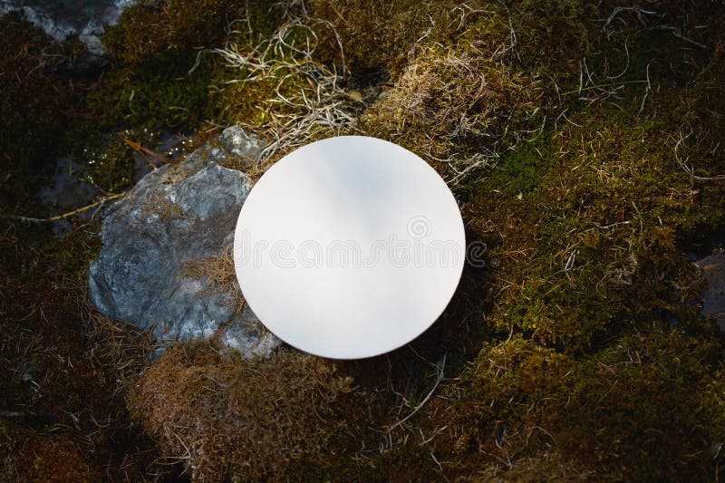 Mockup Circular Shape is Placed on Soft Moss and Rocks Stock Image ...
