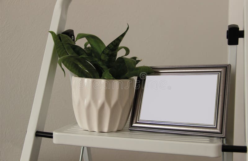The Mockup of the Metallic Photo Frame and Flower Pot Stand on the ...