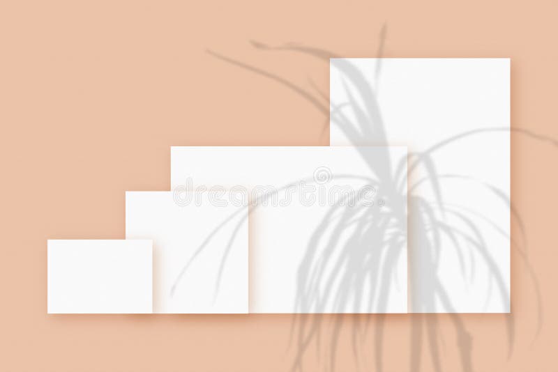 Mockup with Plant Shadows Superimposed on Several Horizontal and ...