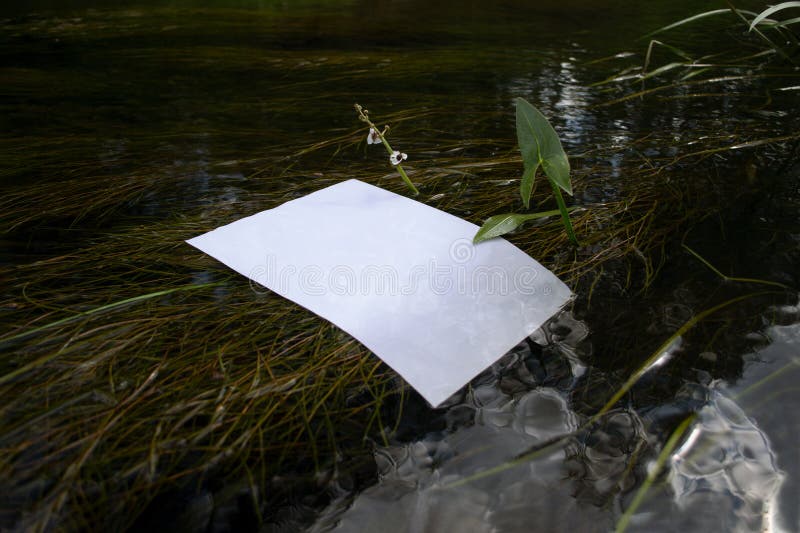 109 A4 Water Stock Photos - Free & Royalty-Free Stock Photos from ...