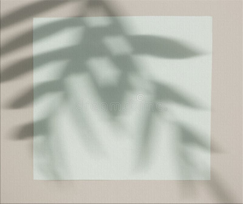 Mockup with the Shadow of a Twig, Pastel Gamma Stock Image - Image of ...