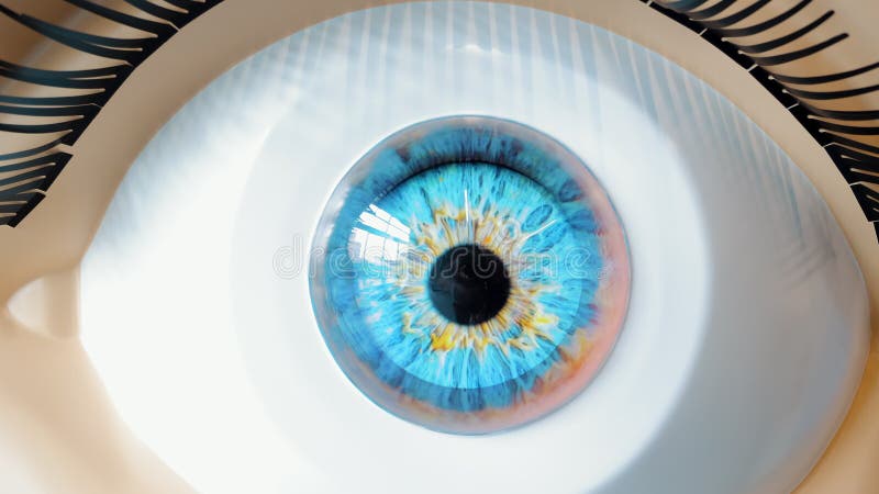 Mockup of the Structure of the Human Eye Close-up. Retina that Changes ...