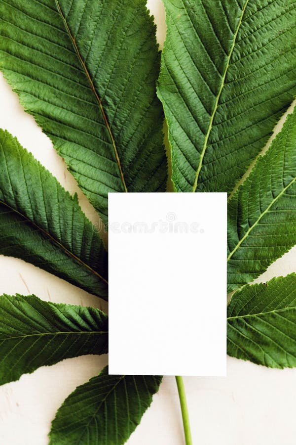 Mockup Template for Banners and Other Design Purposes Stock Image ...