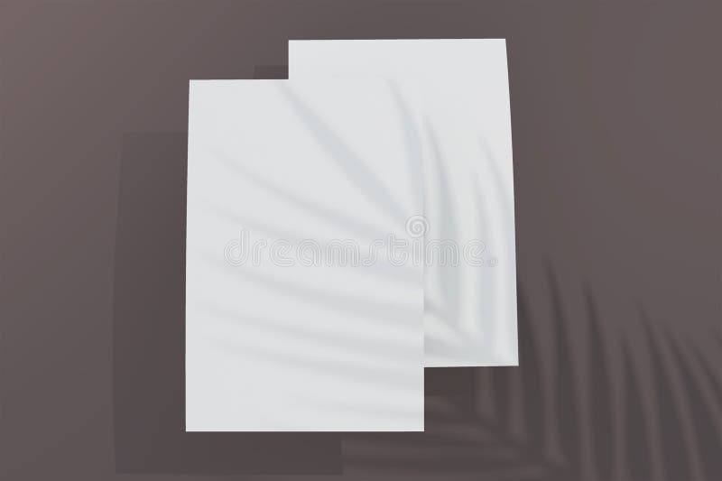 Mockup of Two Flyers with Palm Leaf Shadow Overlay Stock Illustration ...