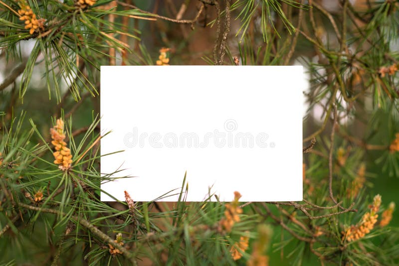 Paper with Inscription GDP on Barley Grain Stock Photo - Image of pearl ...