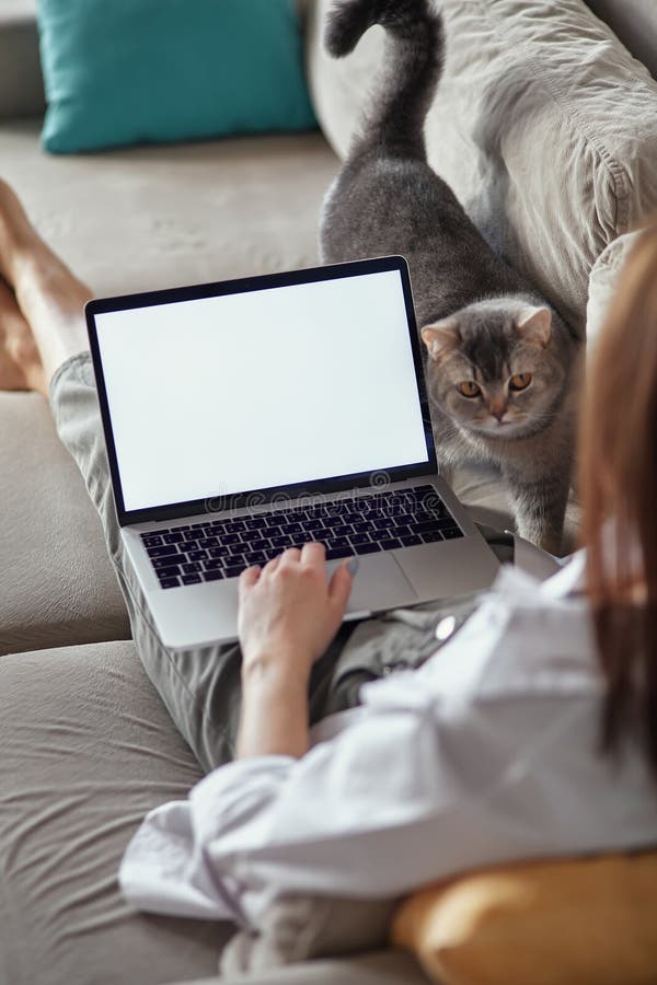 Mockup White Screen Laptop Woman Using Computer and Pet Cat Lying on ...