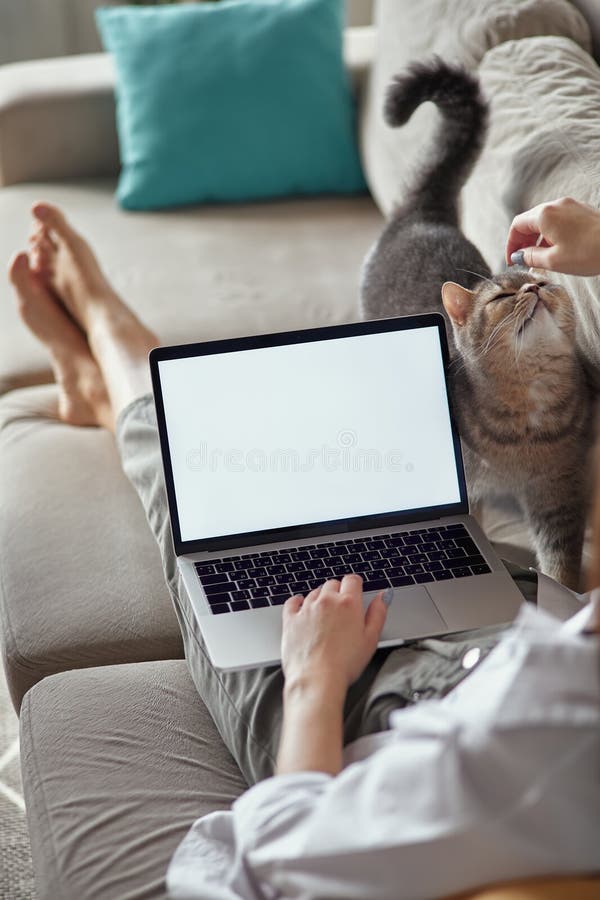 Mockup White Screen Laptop Woman Using Computer and Pet Cat Lying on ...